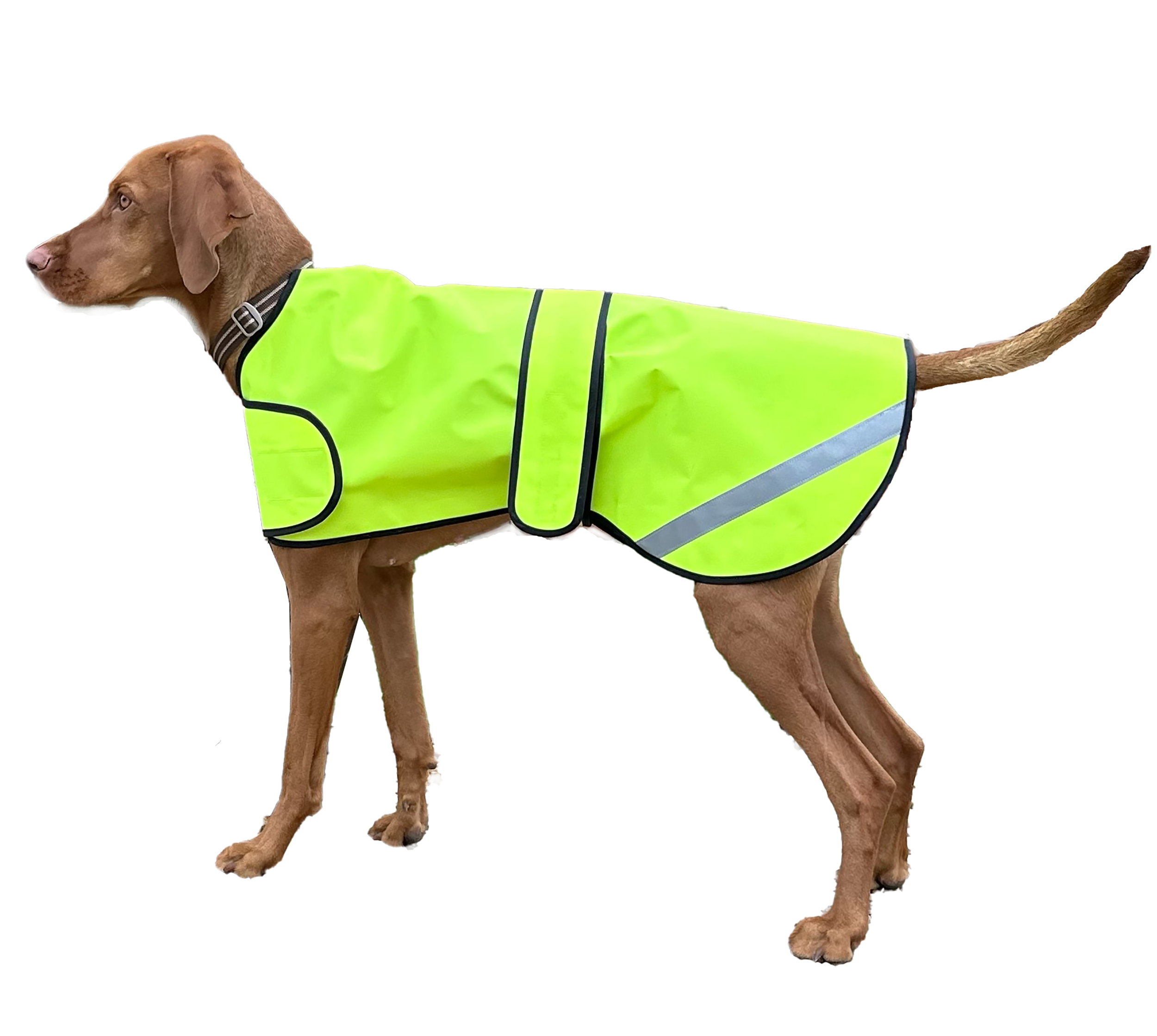 Dog Clothing & Apparel | Coats, Jumpers & More | Soul Pets