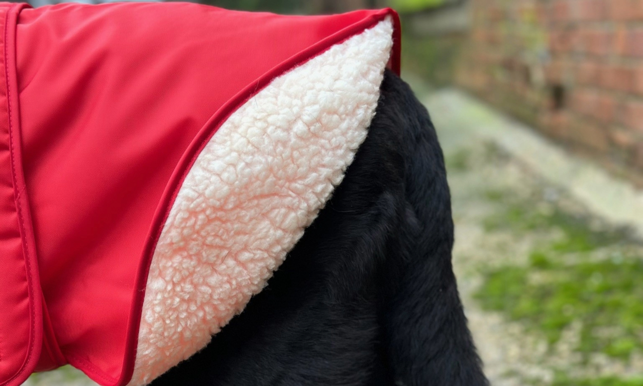 Waterproof fur-lined dog coat
