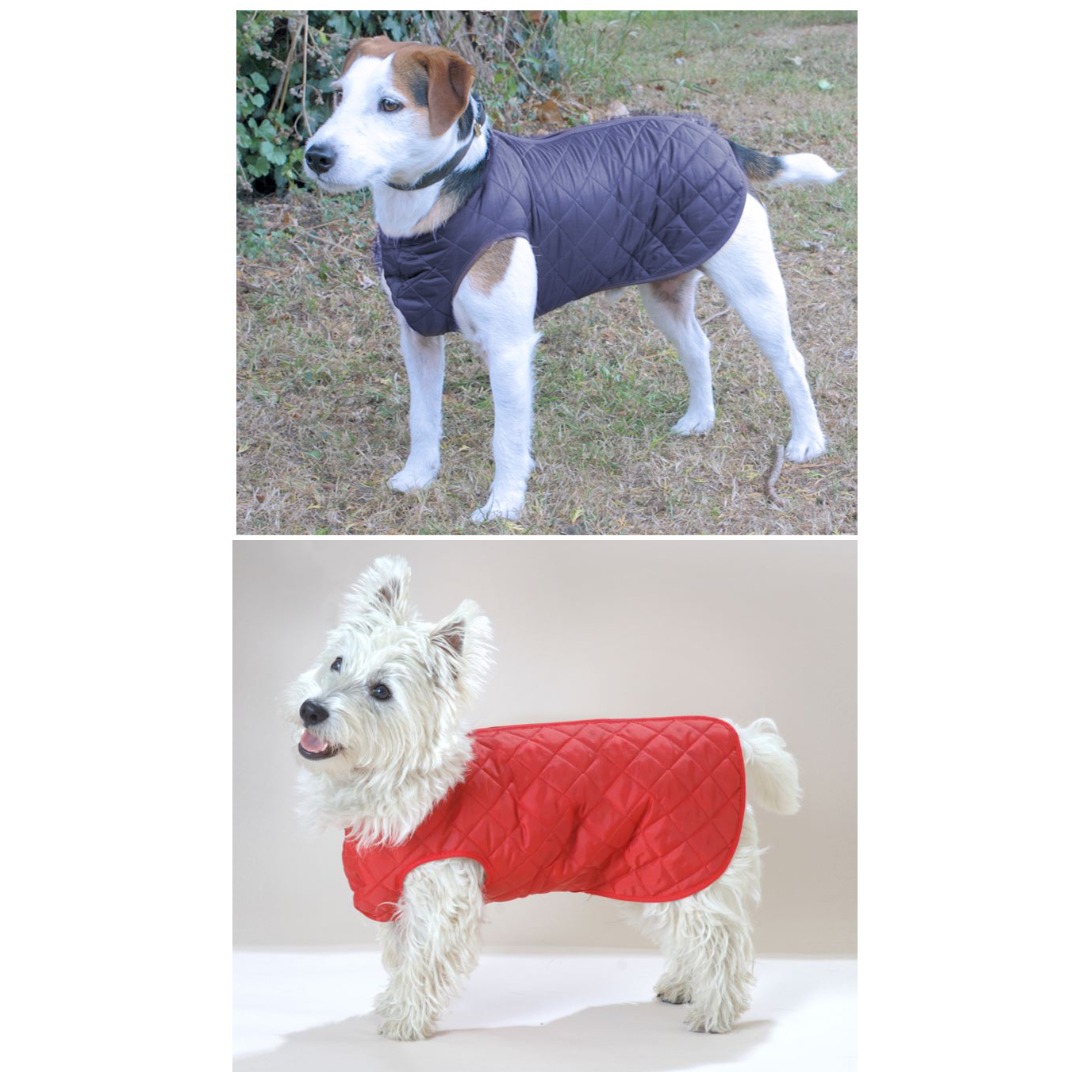 Dog Coats & Jackets UK | British Made | SoulPet