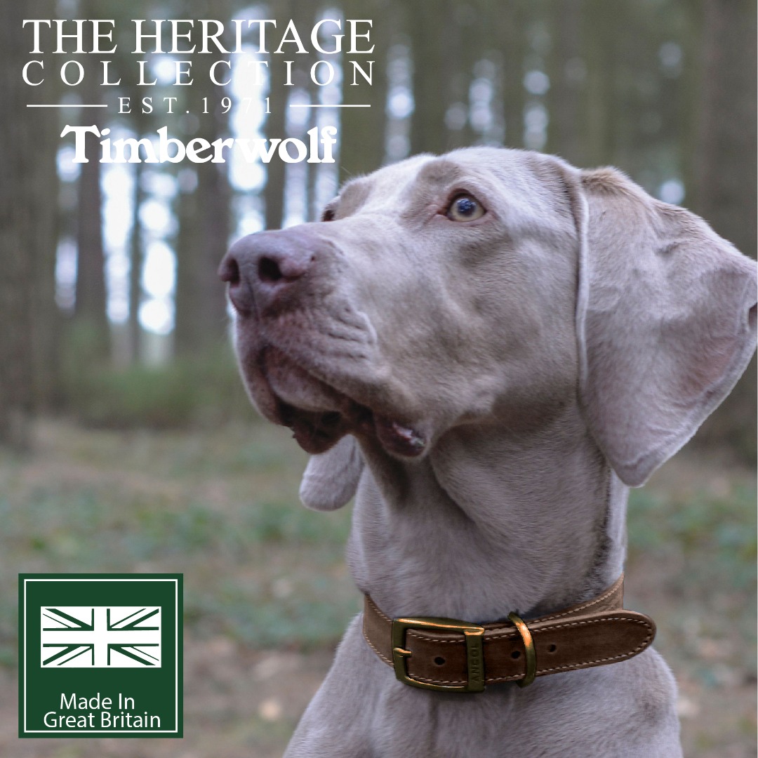 Ancol Timberwolf Leather Dog Collar