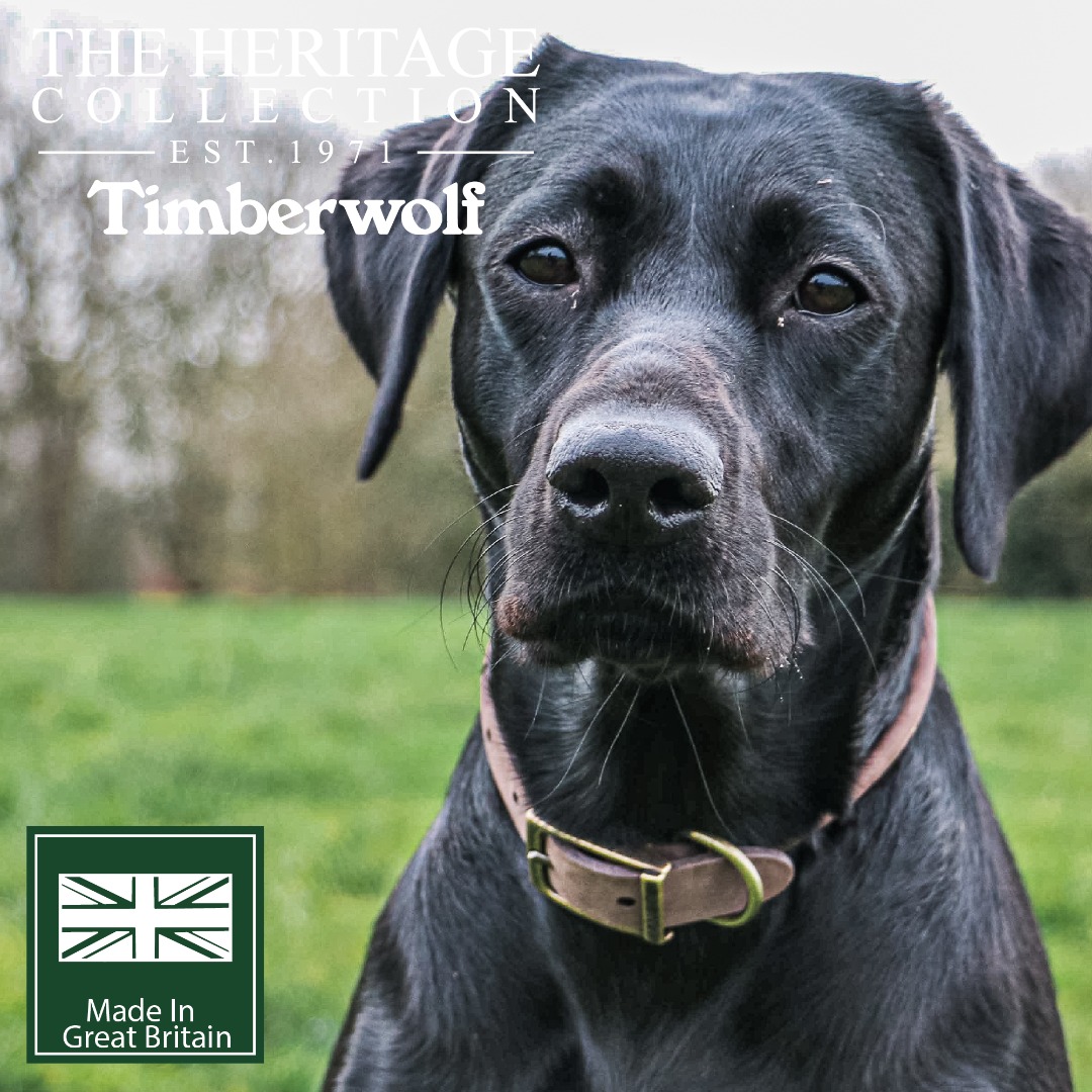 Ancol Timberwolf Round Dog Collar