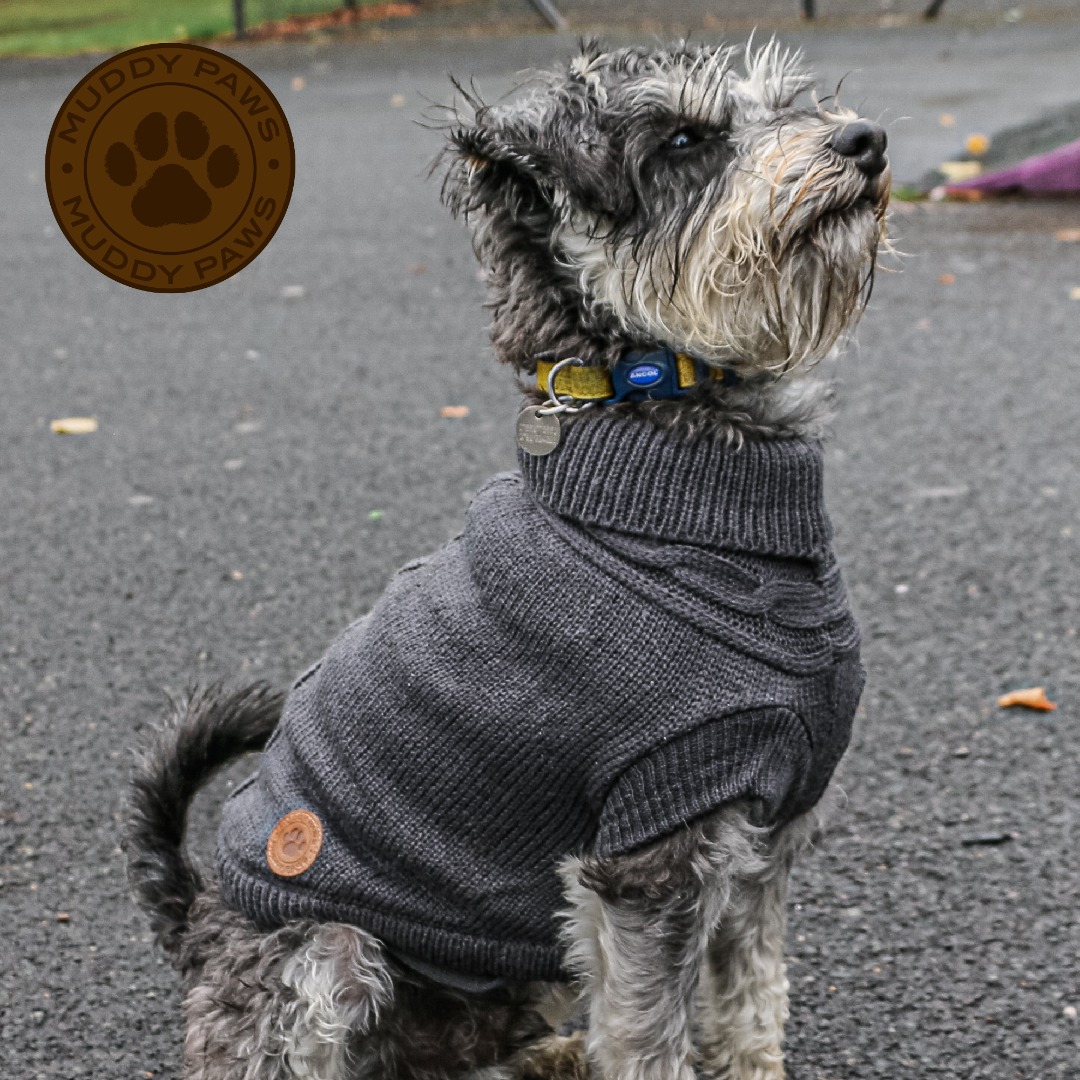 Charcoal Grey Cable Knit Dog Jumpers
