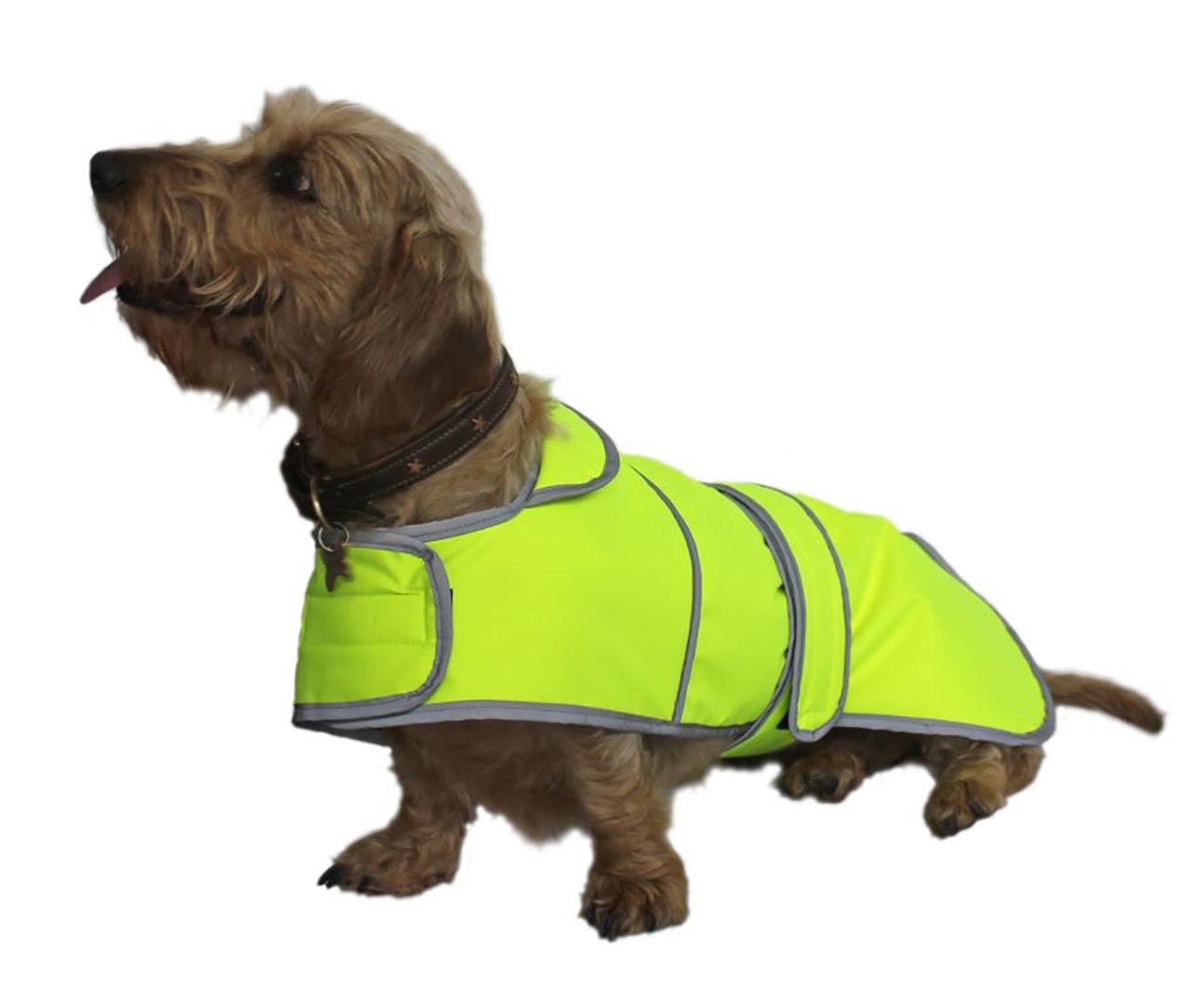 Hi-visibility Safety Dog Coat, designed specifically for the standard ...