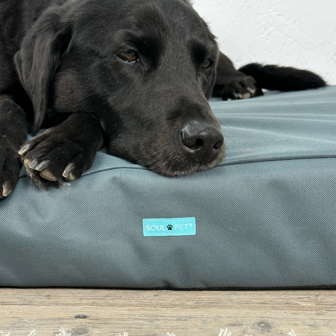 Grey Dog Bed Waterproof Orthopaedic Dog Mattress 14cm Thick Firm Dog ...
