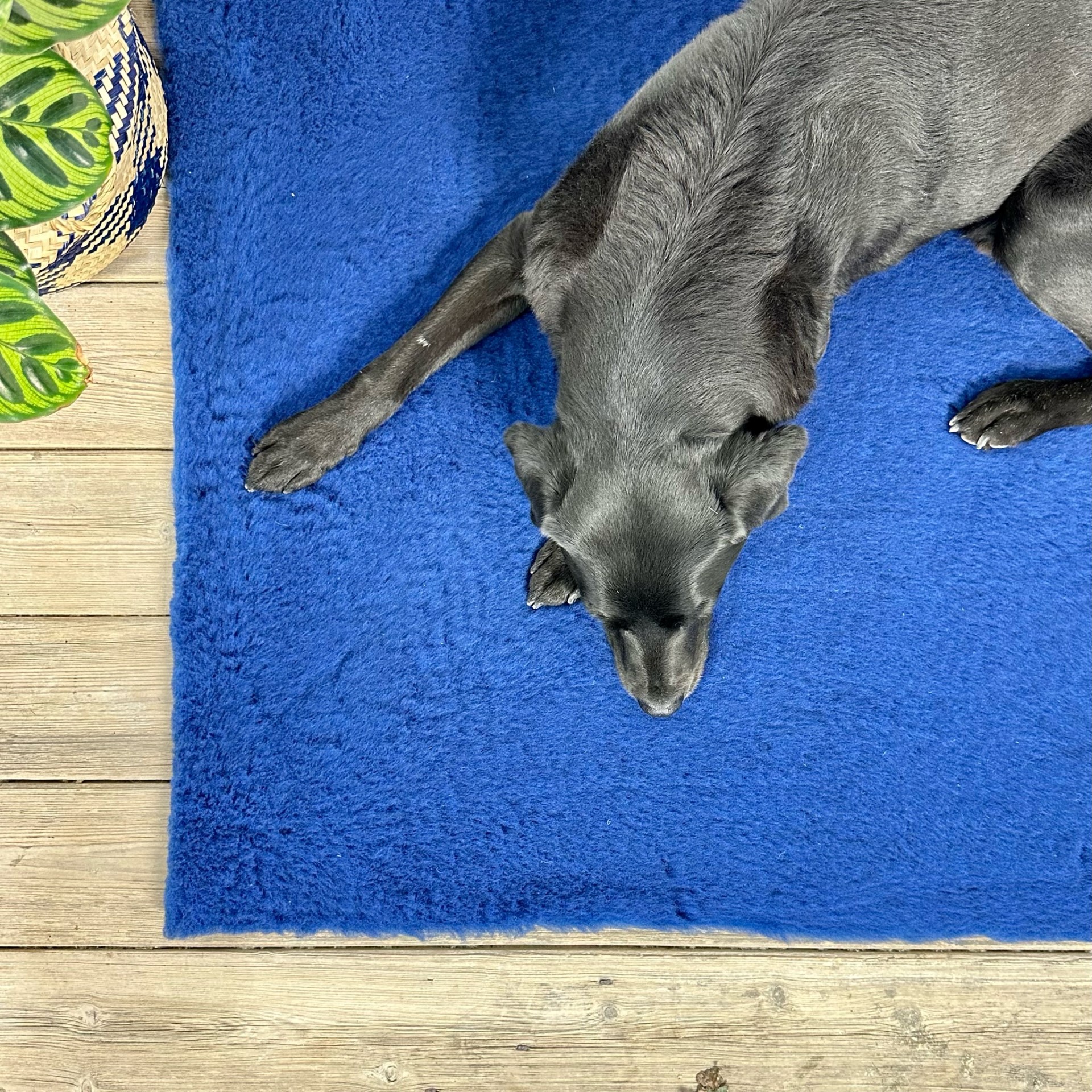 Royal Blue Vet Bedding roll whelping fleece dog puppy pro bed, Vet Bed ...