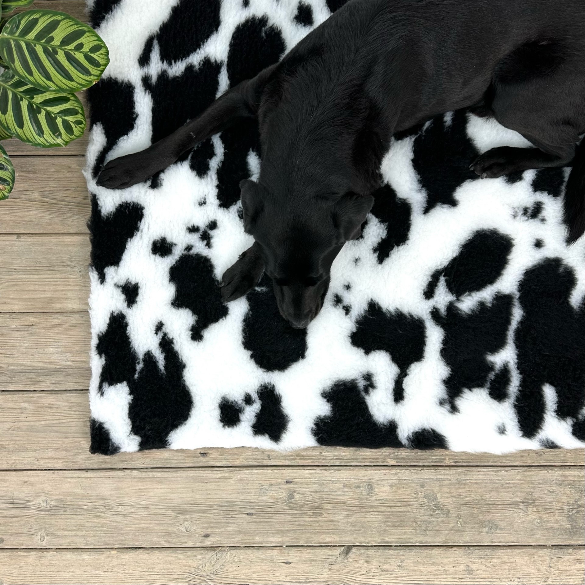 Cow Print Black White Vet Bedding Non-Slip Whelping Fleece Dog Puppy ...