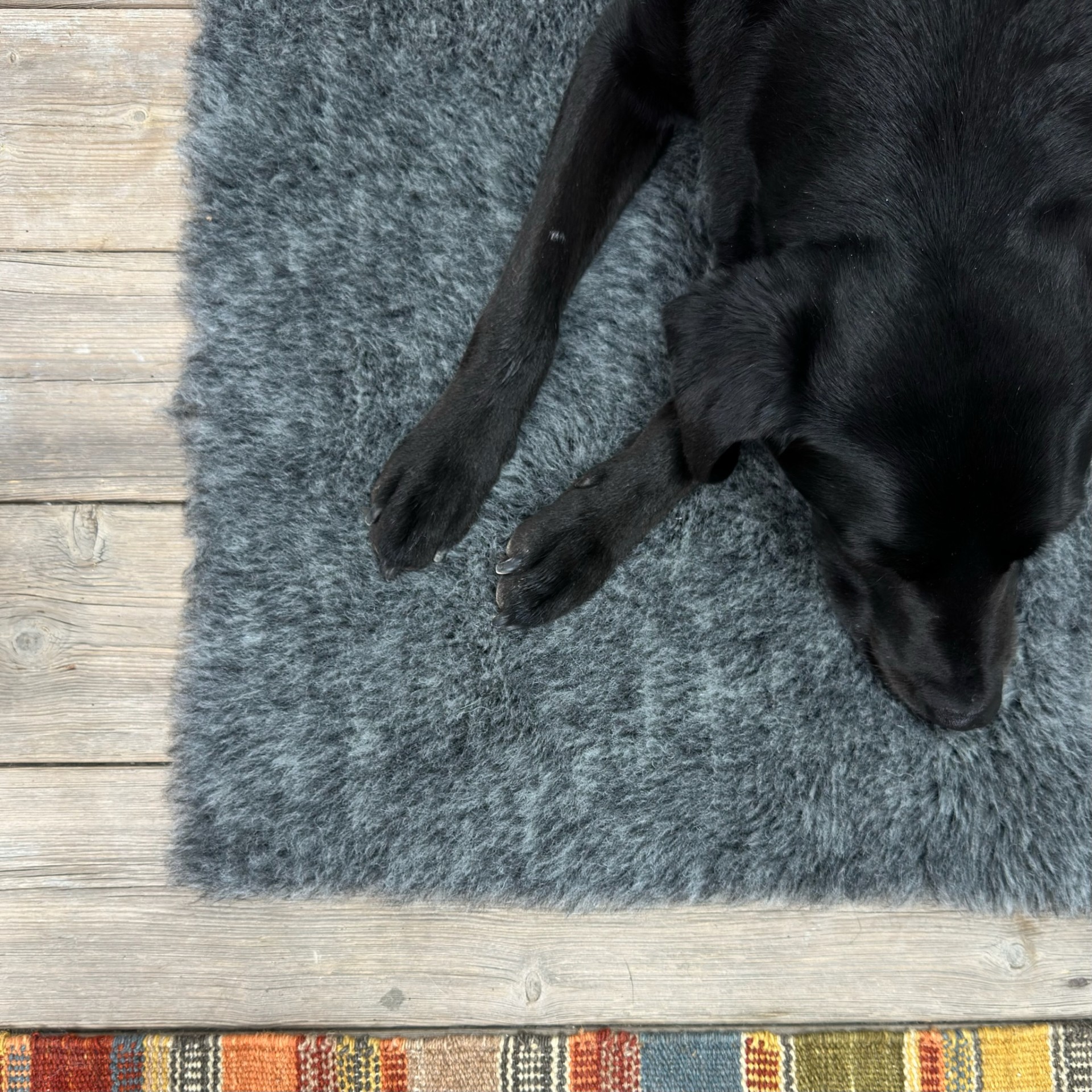 Grey 100% Wool Vet Bedding Non Slip Luxury Dog Mats 30mm Thick Pile