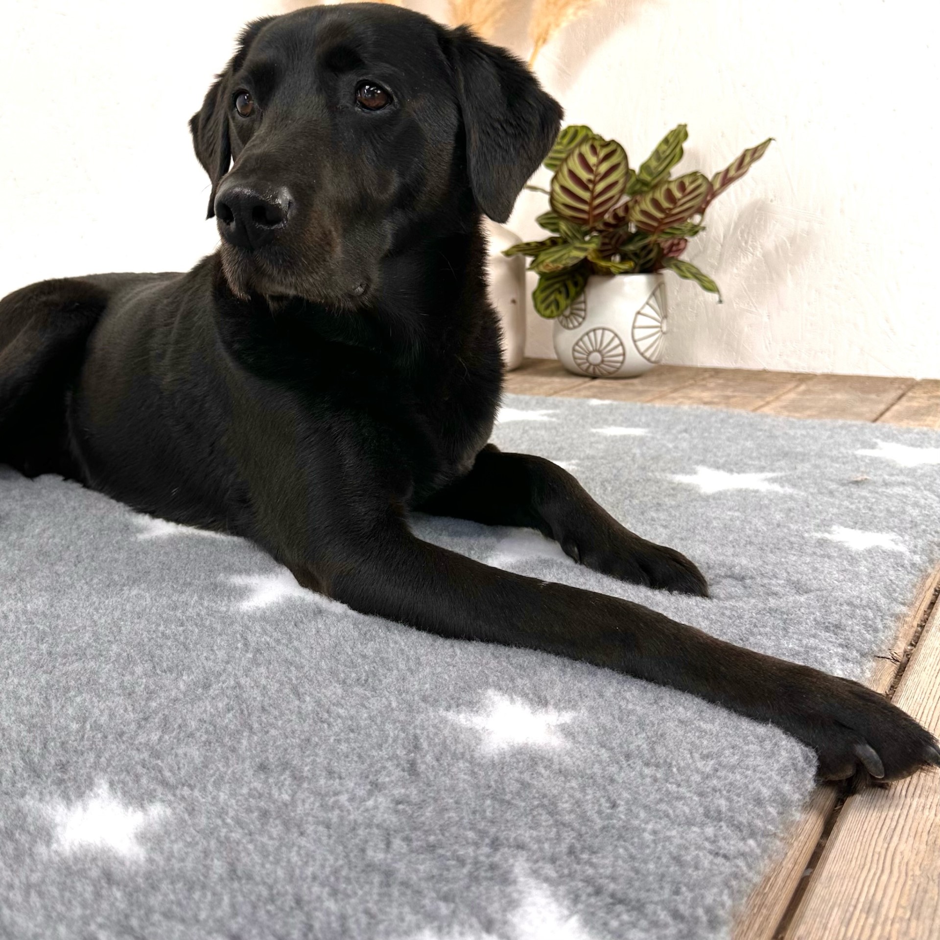 Grey White Star Vet Bedding non-slip back bed fleece Mats for Ved Bed ...