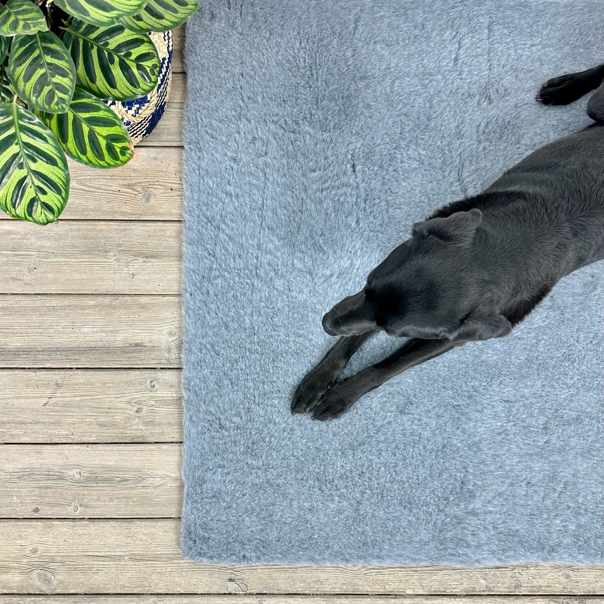 Grey Traditional vet bedding,vet bed cut in squares or rolls Dog ...