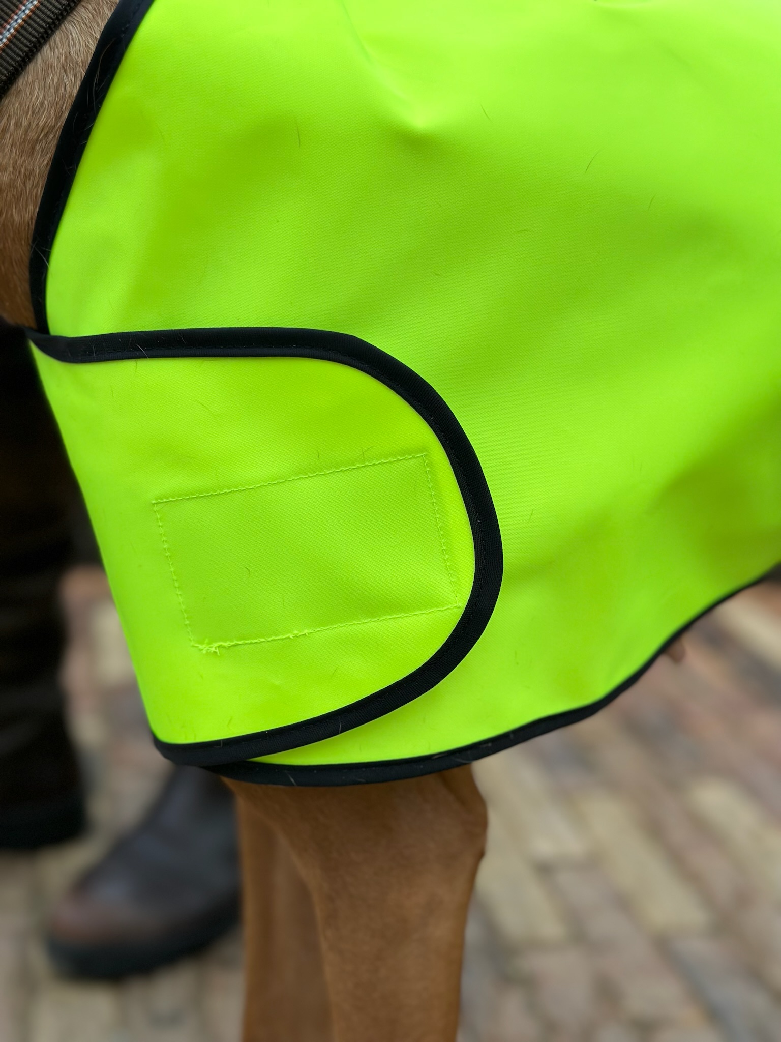 Hi-visibility Waterproof Dog Safety Coat Waterproof Fabric. Fluorescent ...