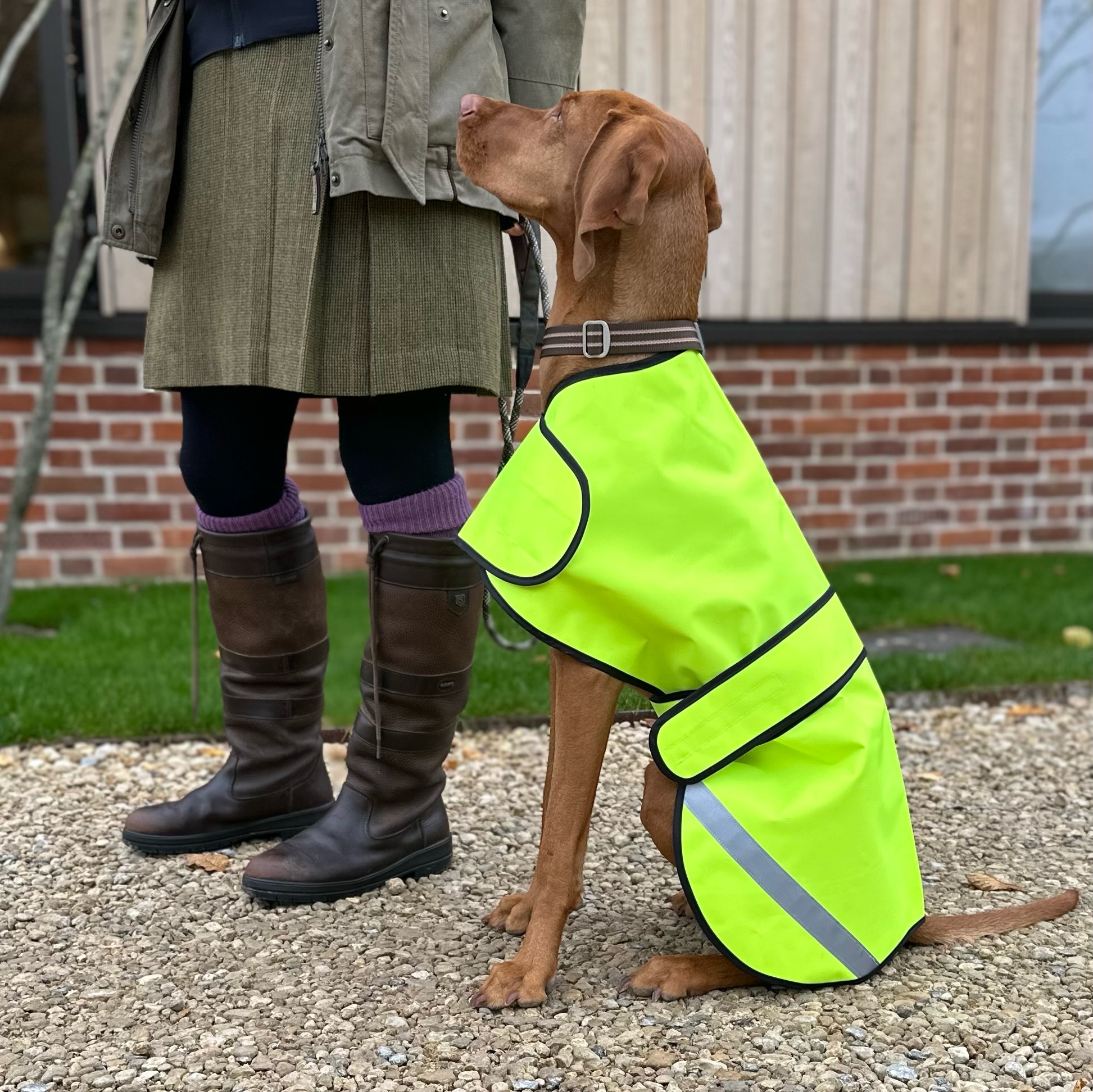 Hi-visibility Waterproof Dog Safety Coat Waterproof Fabric. Fluorescent ...