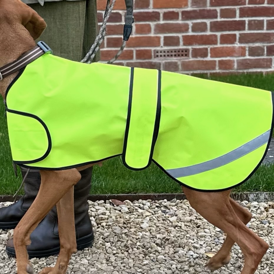Hi-visibility Waterproof Dog Safety Coat Waterproof Fabric. Fluorescent ...