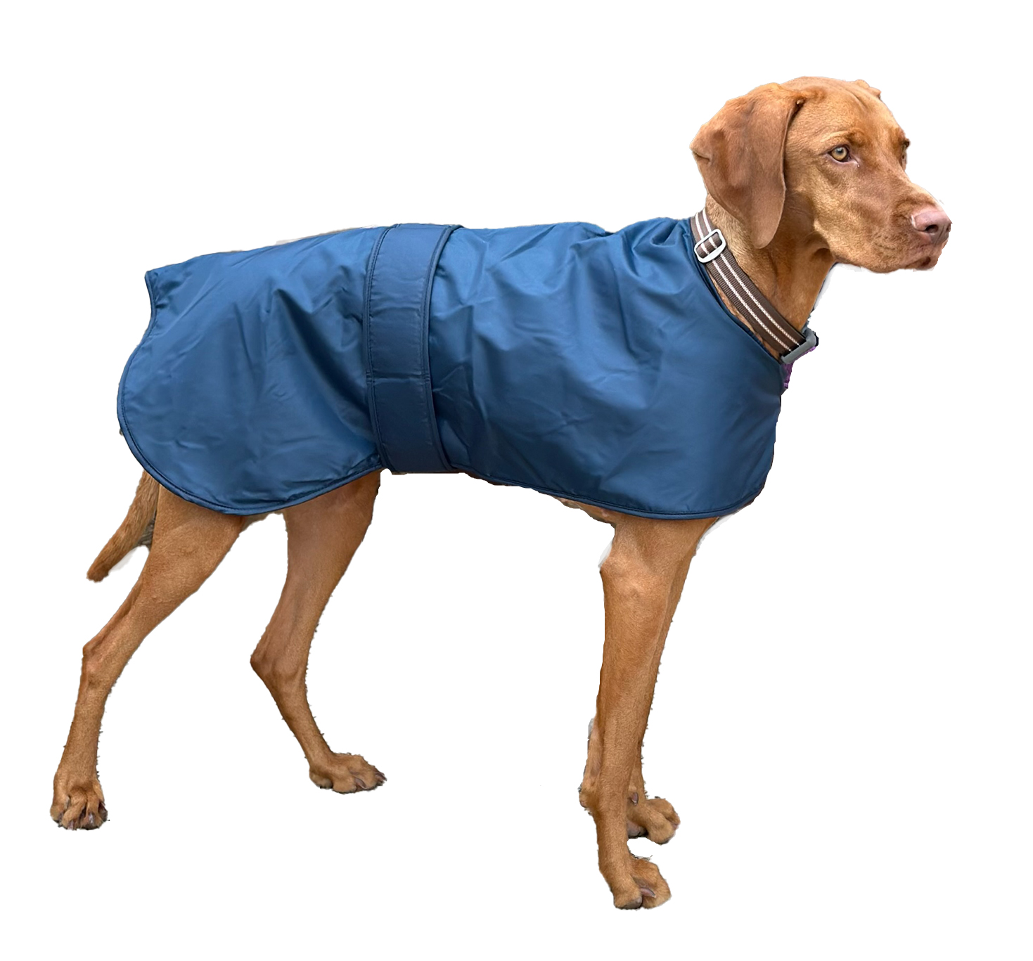 Winter Coat Waterproof Furlined All-Weather Dog Coat In colours Red and ...