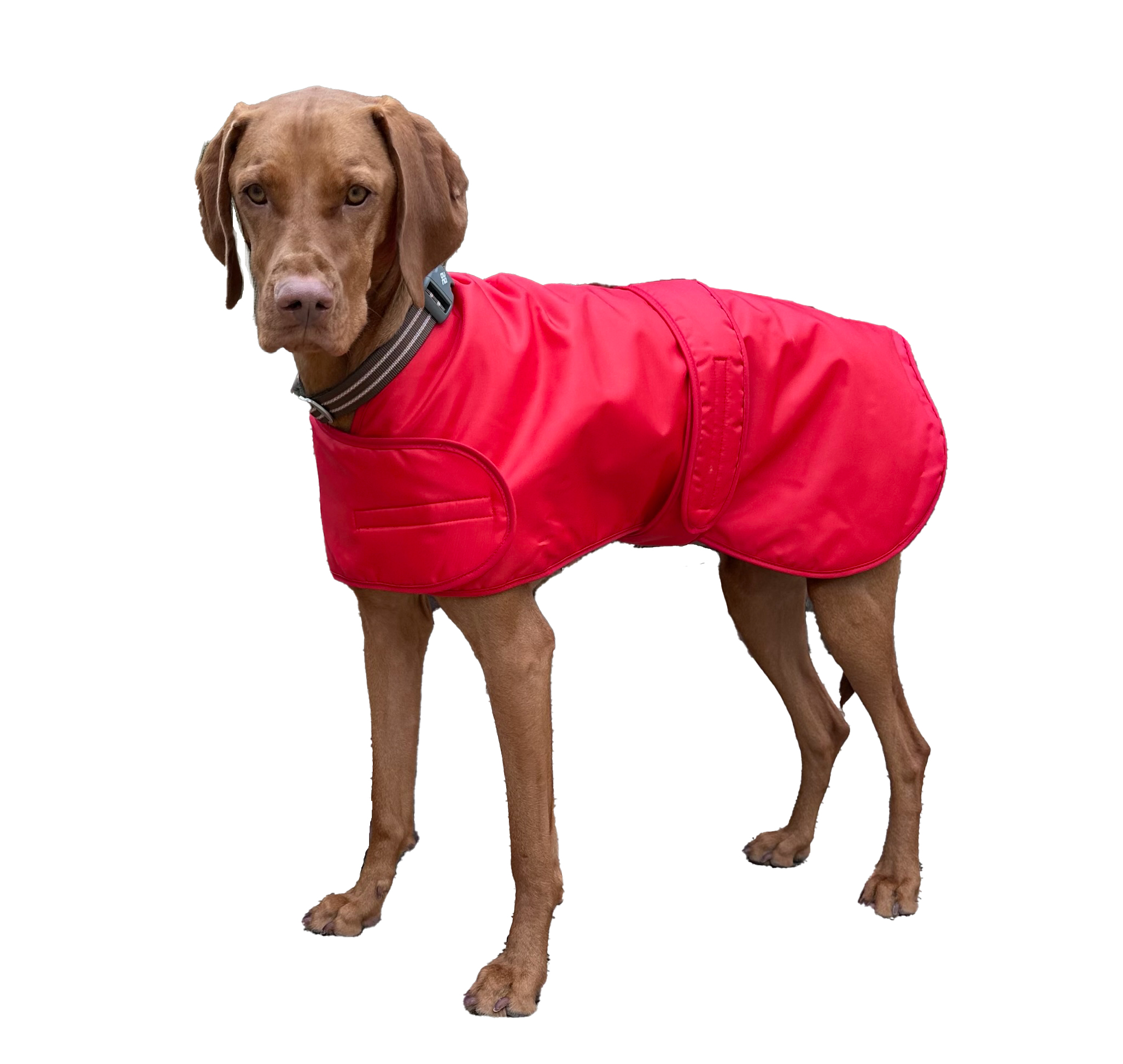Winter Coat Waterproof Furlined All-Weather Dog Coat In colours Red and ...