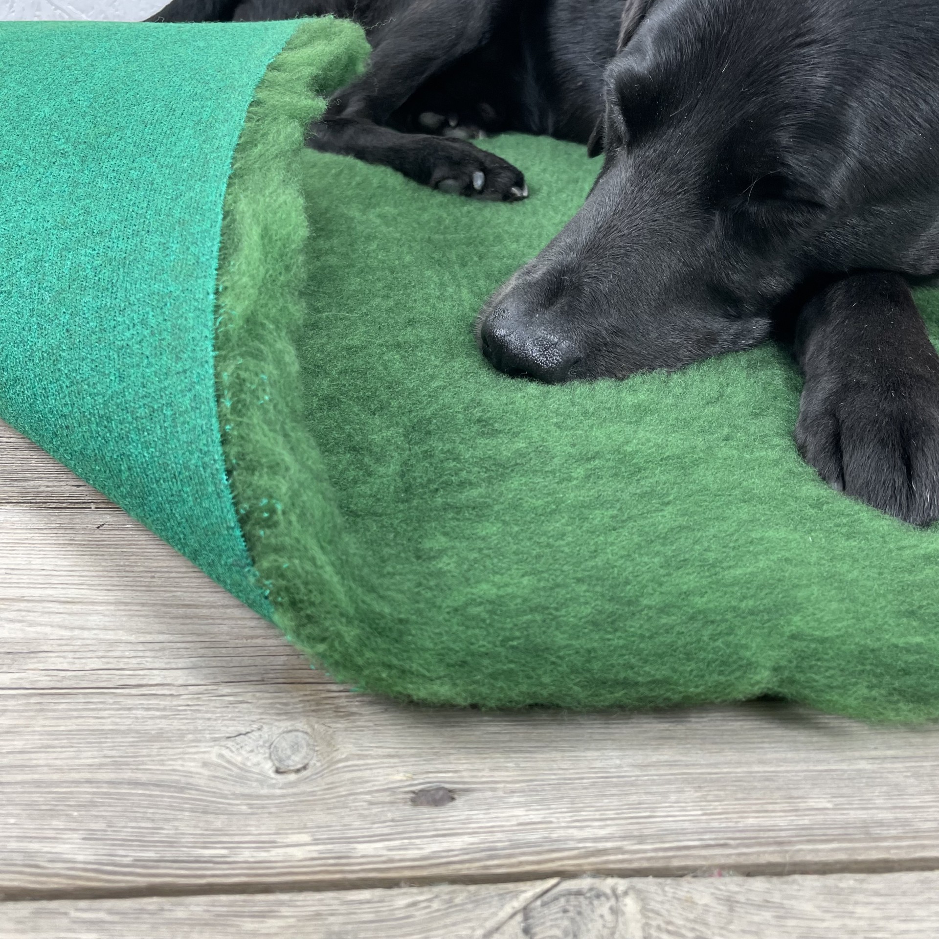 Plain Green Traditional vet bedding,vet bed cut in squares or rolls Dog ...