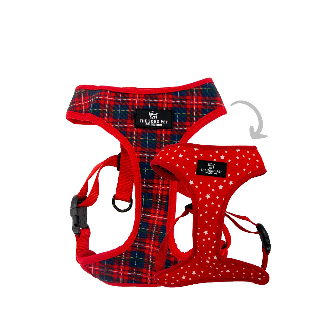 Ancol Dog Supplies | High-Quality Pet Products | Soul Pets