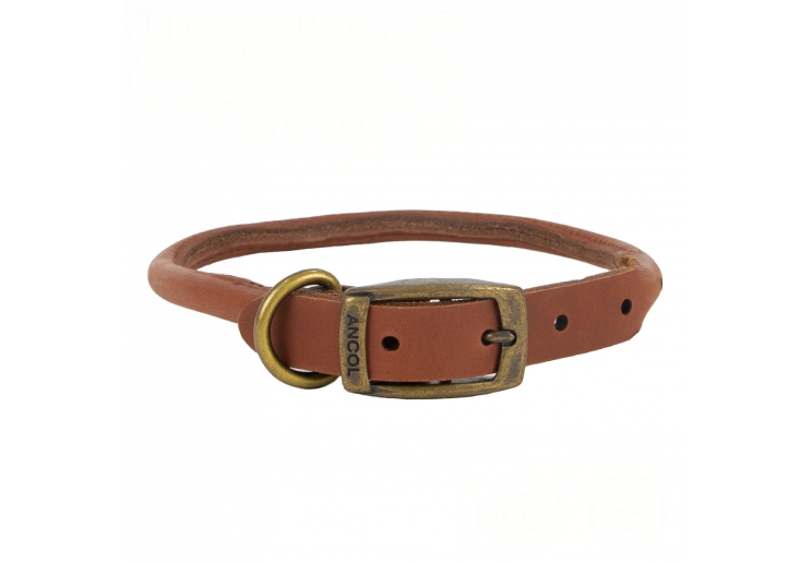 Dog Collars